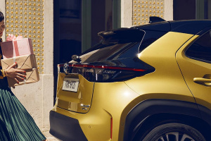 De beste B-segment auto's van 2022 • Louwman